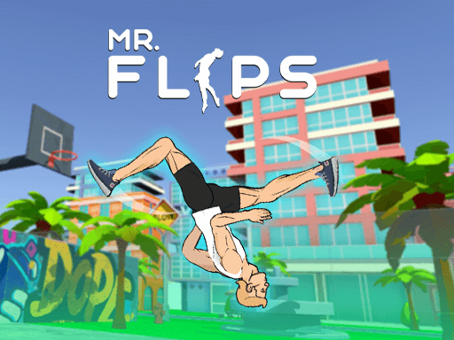 Mr Flip